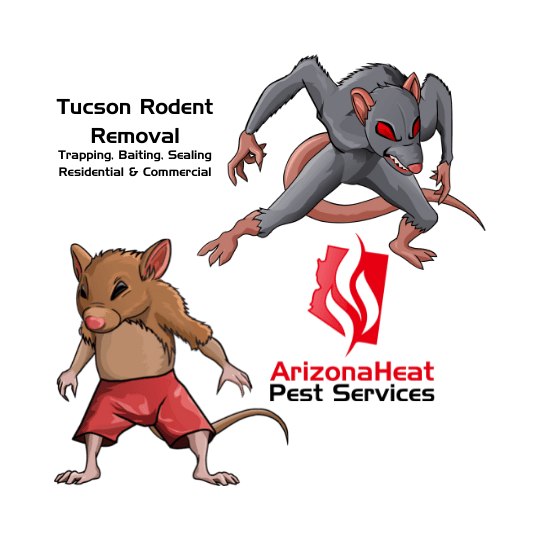 Tucson Pest Control - Bed Bugs, Cockroaches, Rodents, Termites